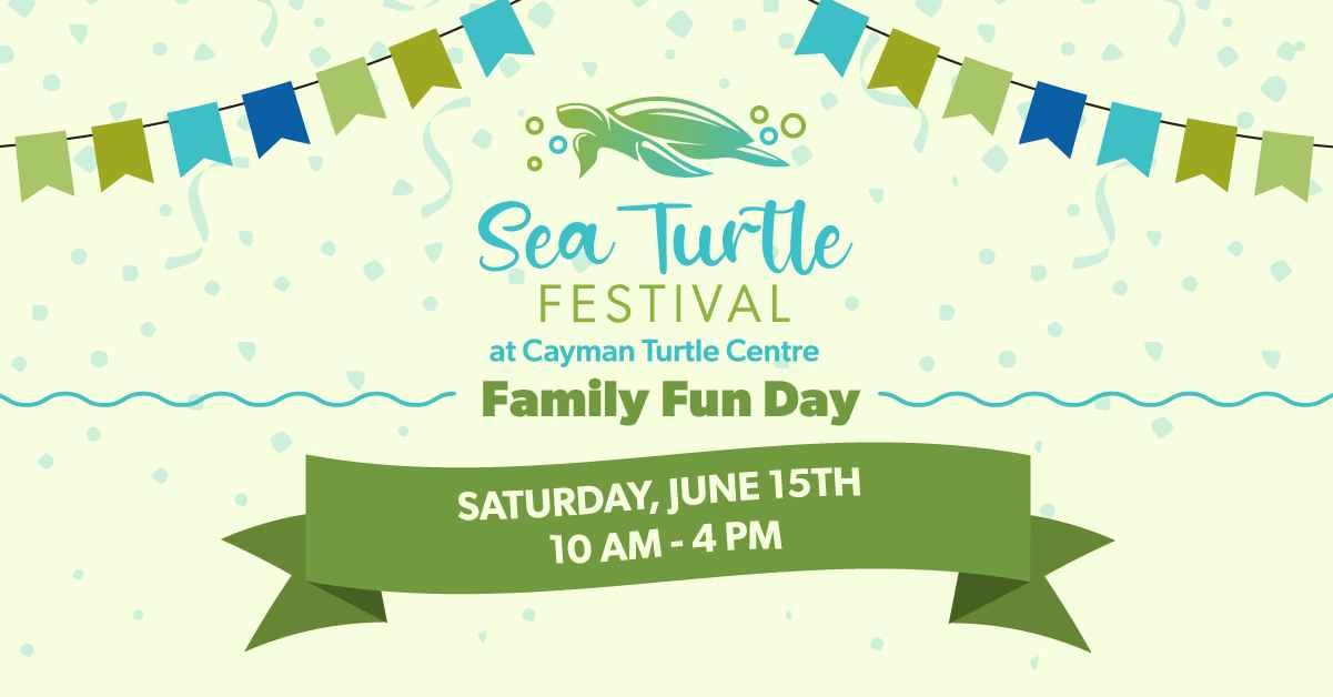 Sea Turtle Festival by Cayman Turtle Centre | Explore Cayman