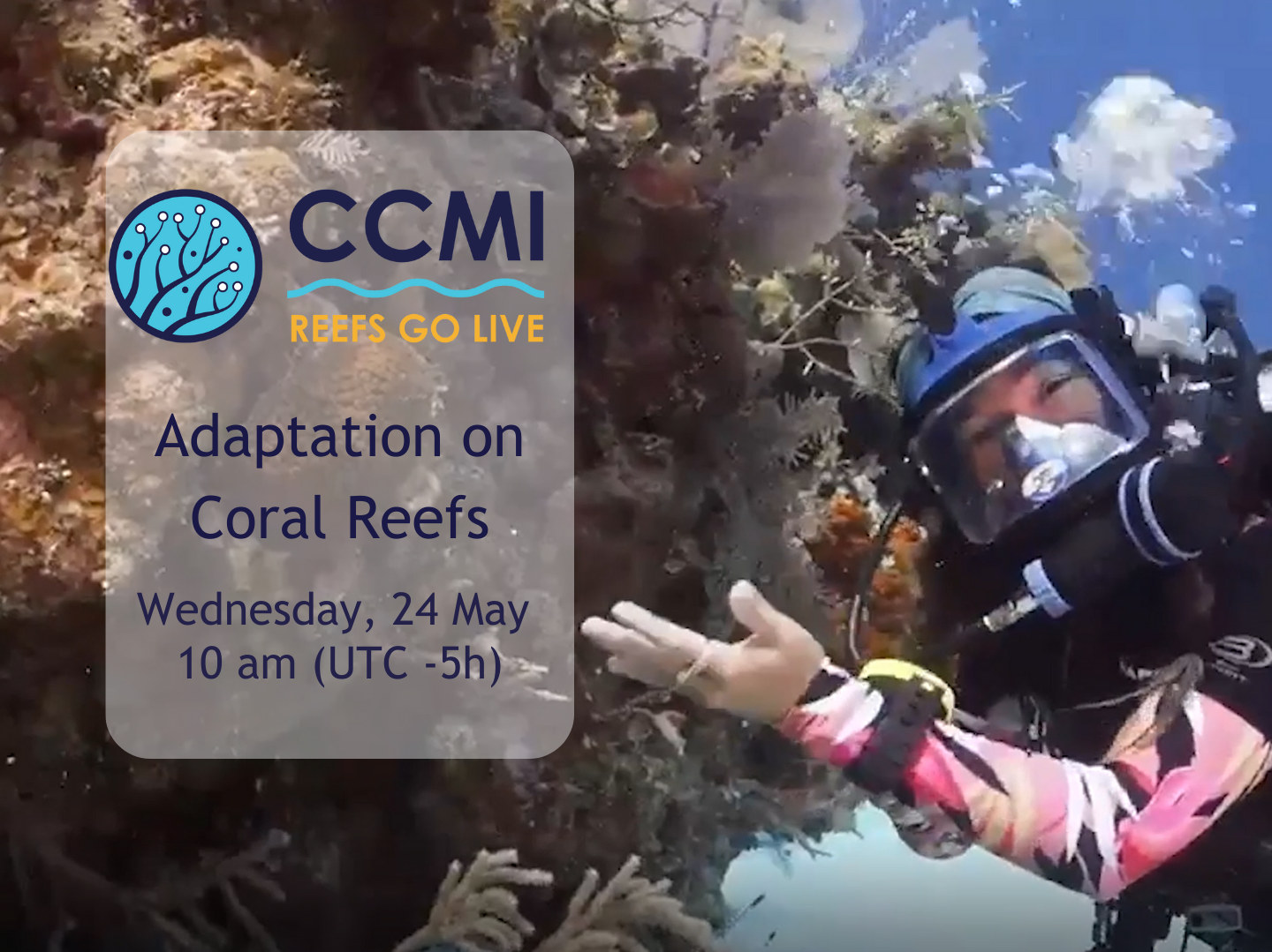 CCMI Caribbean Reef Lectures by Central Caribbean… | Explore Cayman