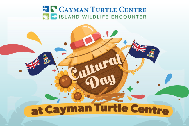 Cultural Day at Cayman Turtle Centre! by Cayman… | Explore Cayman