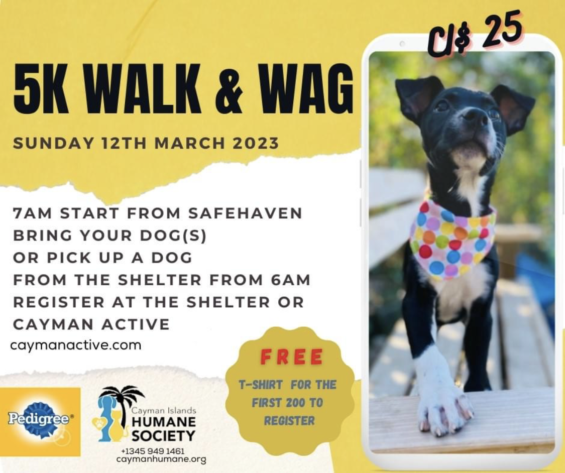 Walk and Wag 5K Charity Fun Walk/Run by Cayman… | Explore Cayman