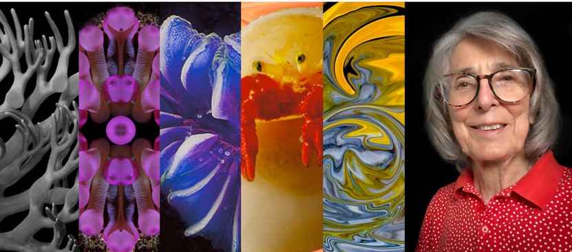 Underwater Dreaming Exhibition, Cathy Church by… | Explore Cayman